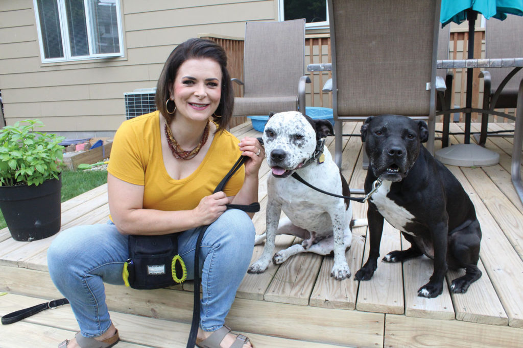 Trick dog trainer | CITYVIEW