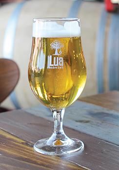 Lua Brewing | CITYVIEW