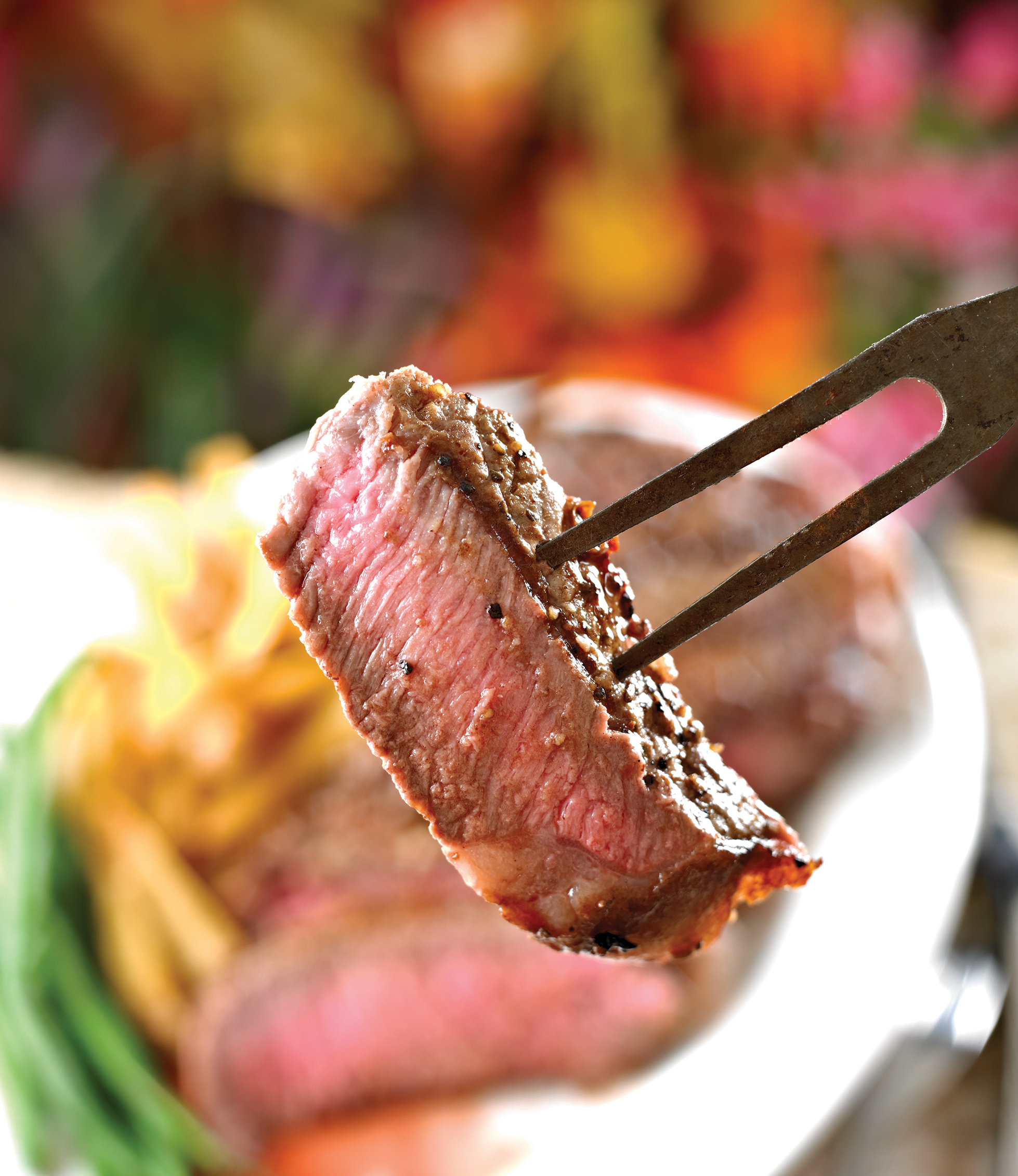 The proud carnivore | CITYVIEW