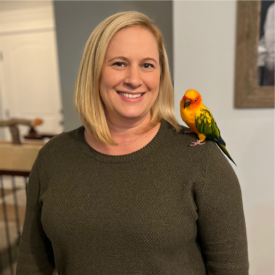 Super pets | CITYVIEW