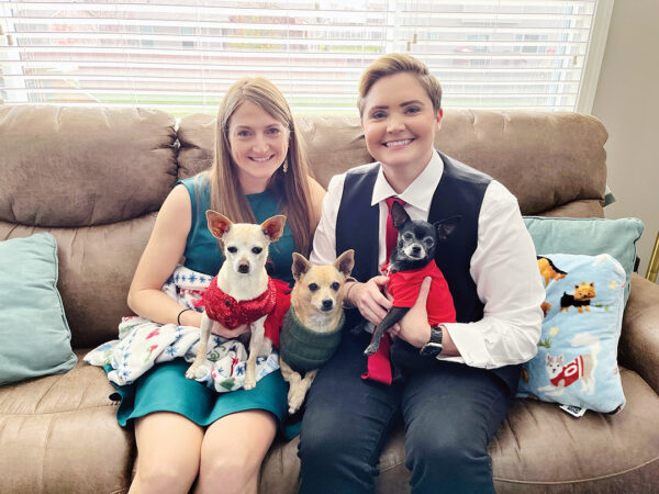 Trio of dogs | CITYVIEW