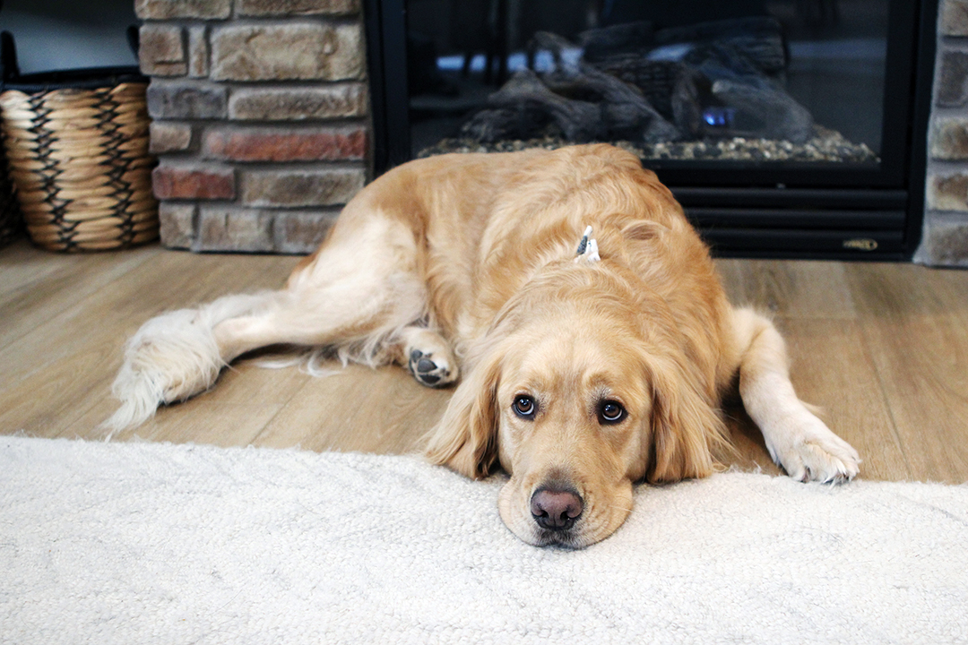 Kernel comforts | CITYVIEW