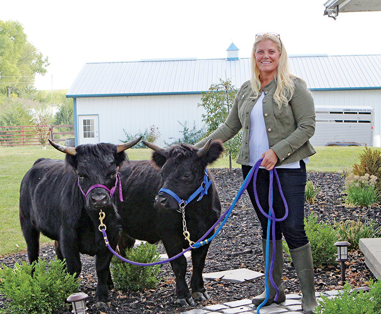 Miniature cows | CITYVIEW
