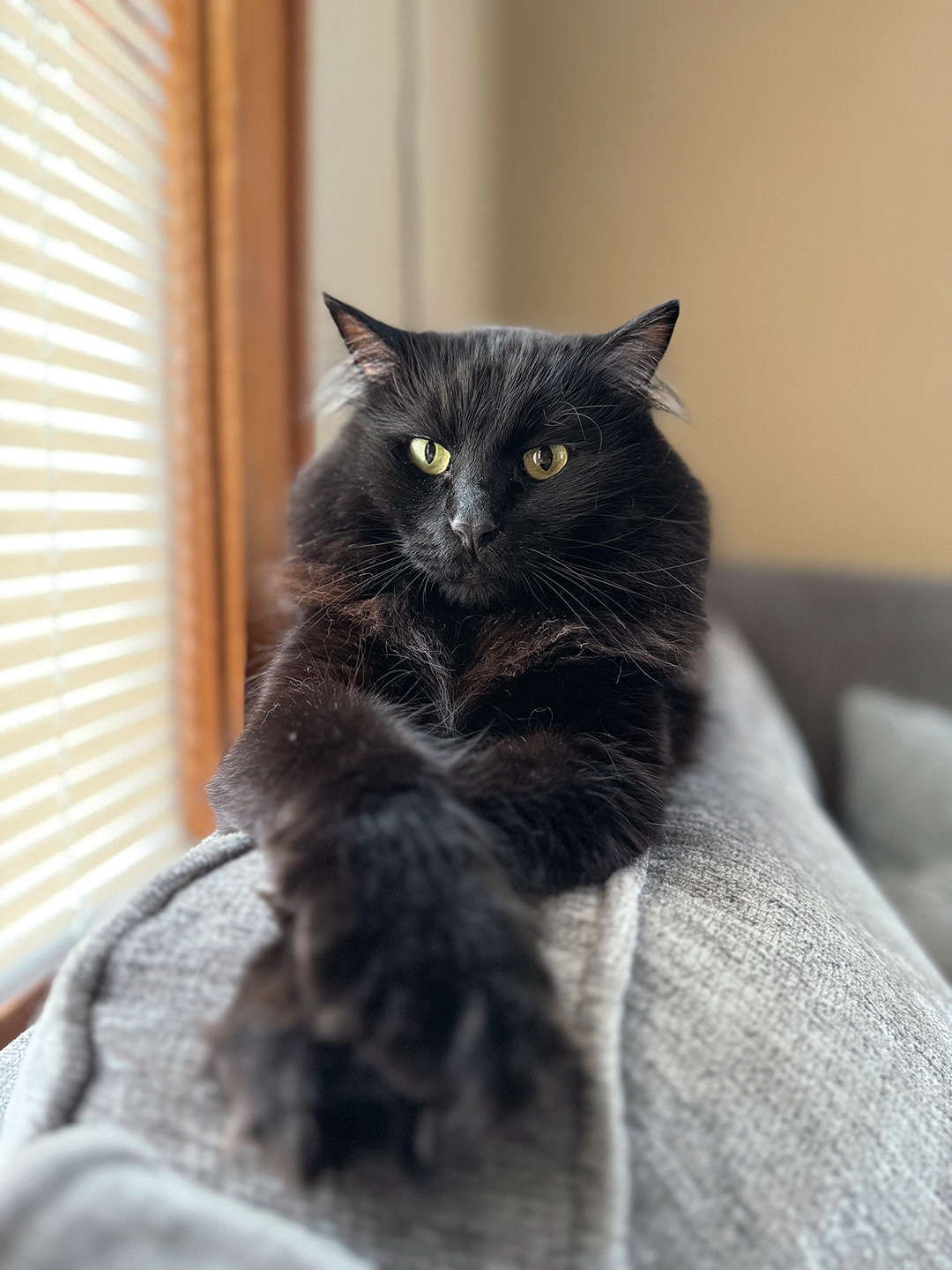 Love for Luca | CITYVIEW