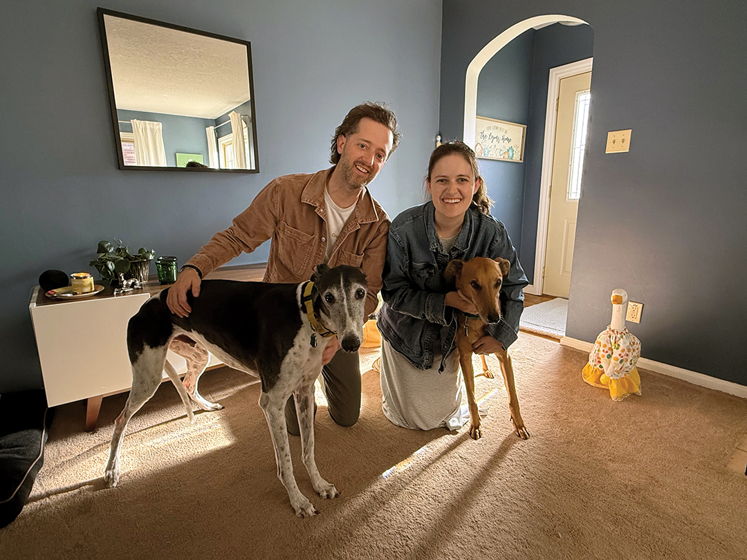 Retired racing dogs | CITYVIEW